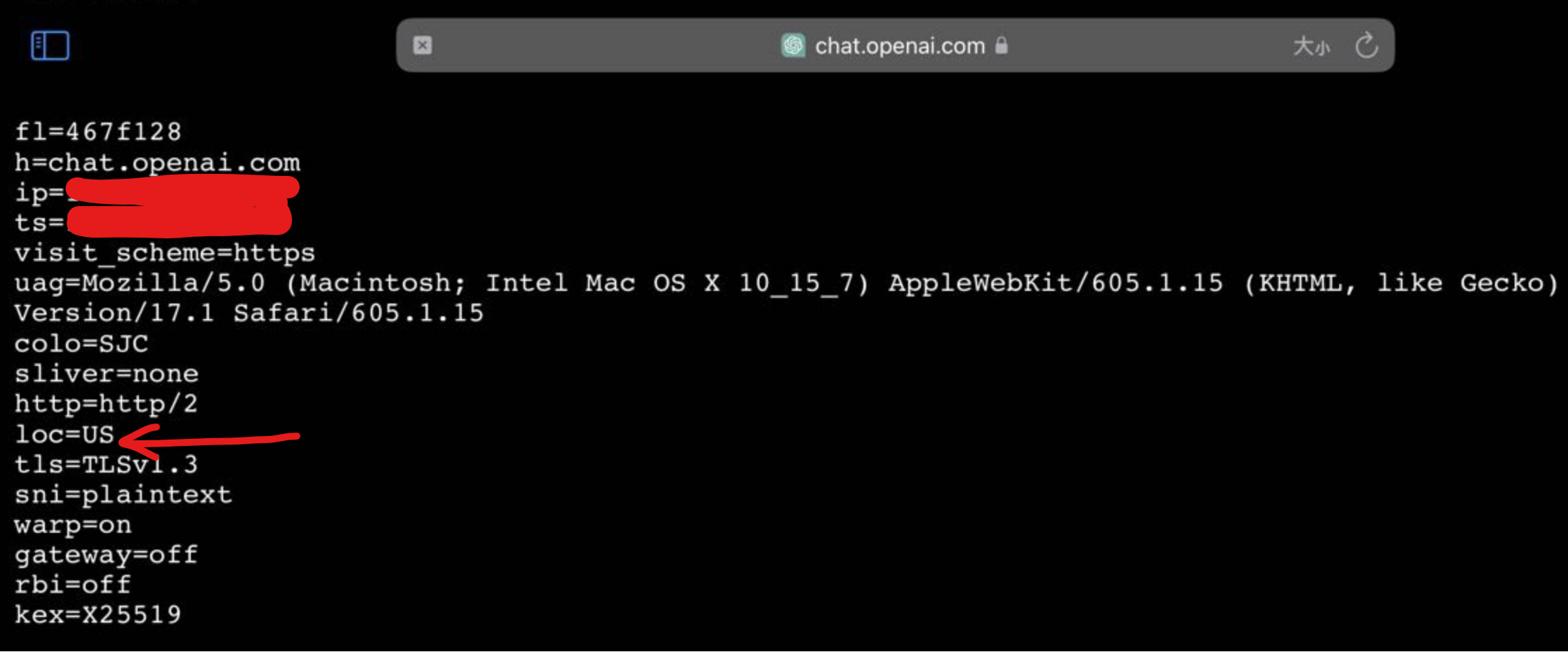 Loon-CordCloud – Telegraph